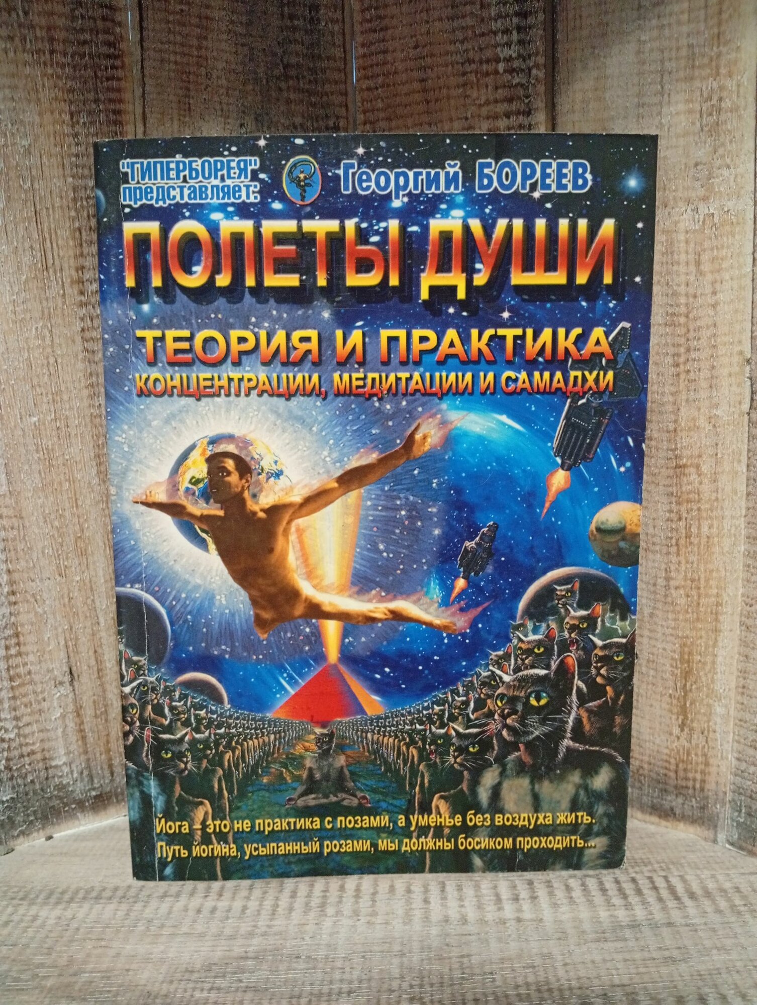 Полеты души Бореев Георгий Александрович