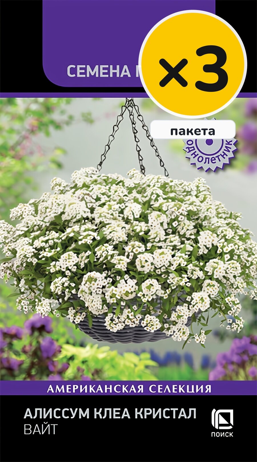 Семена алиссума Клеа Кристал Вайт, 20 шт, 3 пакета, Поиск, однолетник, высота до 25 см, посев на рассаду в марте–апреле