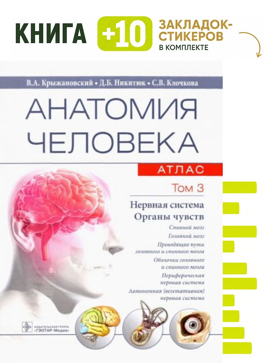 Анатомия человека: атлас. Комплект: книга + 10 закладок-стикеров