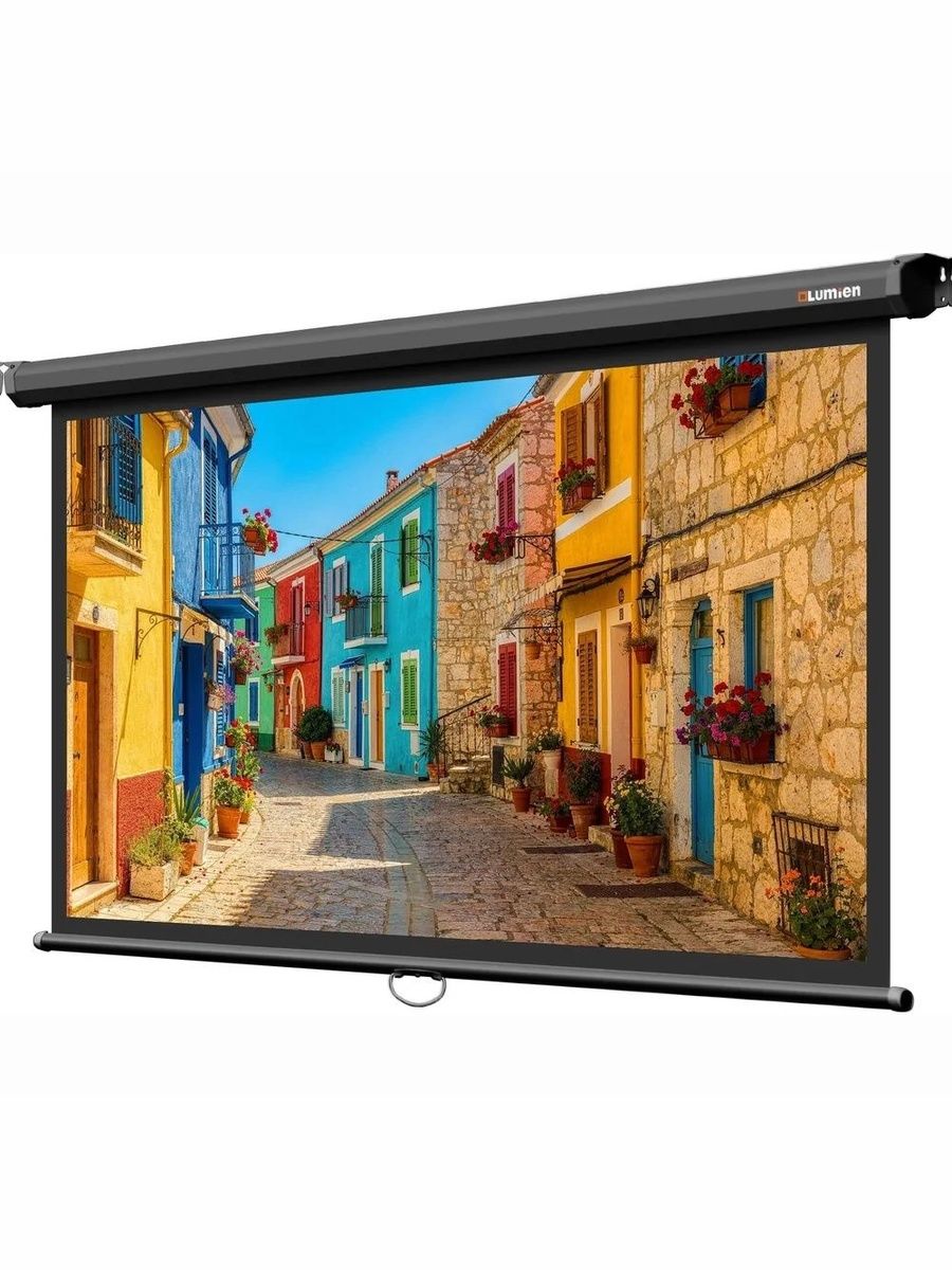 Экран Lumien Eco Picture LEP-100129, 192х137 см,16:9, настенно-потолочный черный