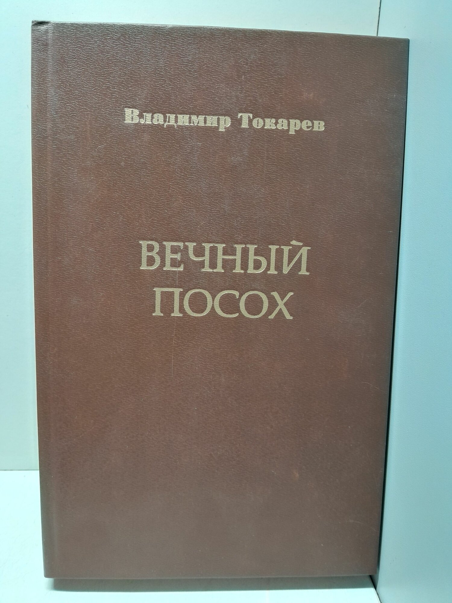 Вечный посох / Владимир Токарев
