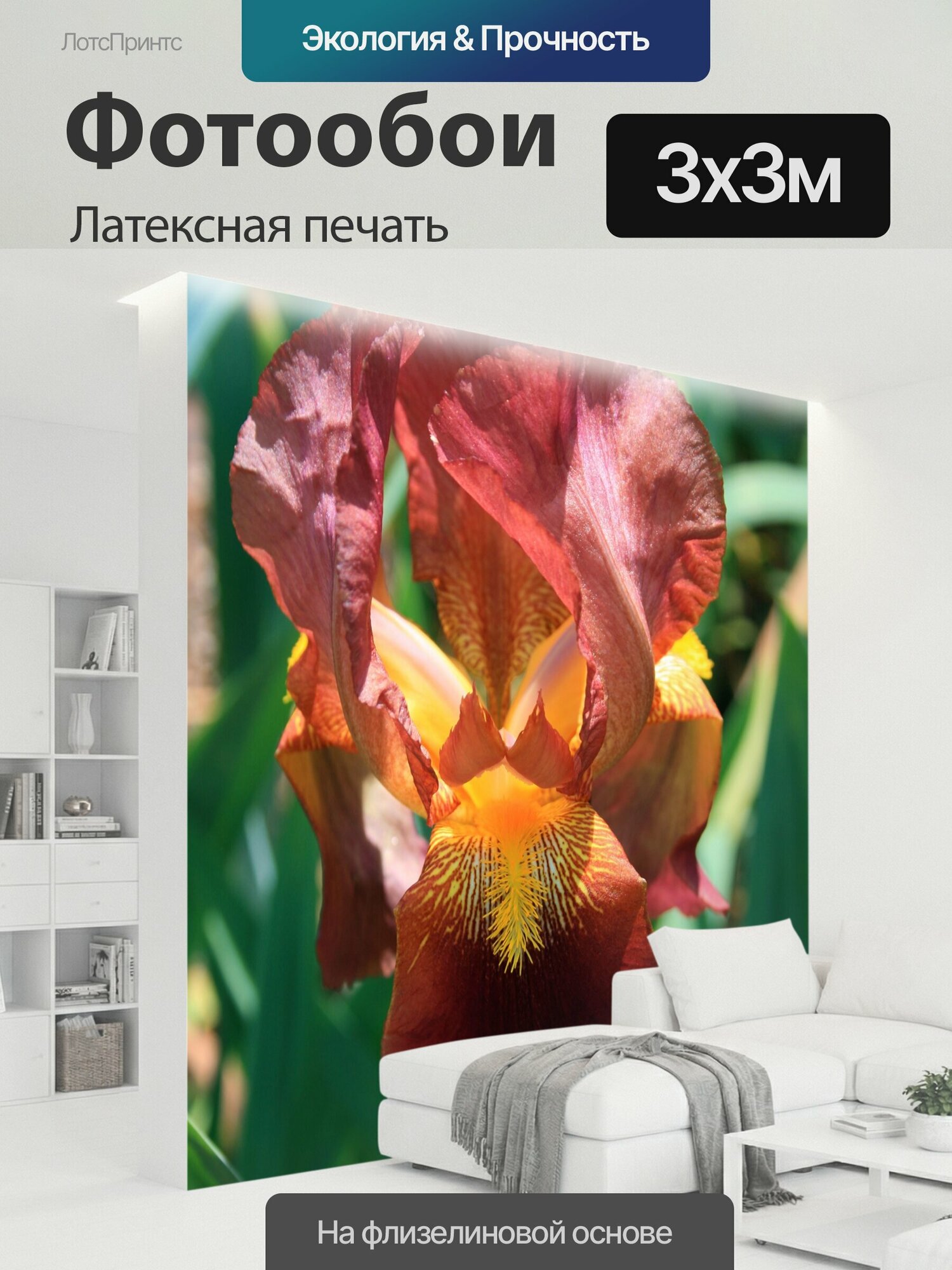 Фотообои моющиеся ударопрочные "Фиолетовый и желтый ирис цветок фиолетовый и желтый ирис цветок цветок запутанные нежный фиолетовый лиловый желтый" 300x300 см. латексная печать