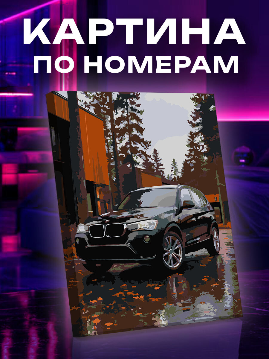 Картина по номерам BMW среди сибирских сосен