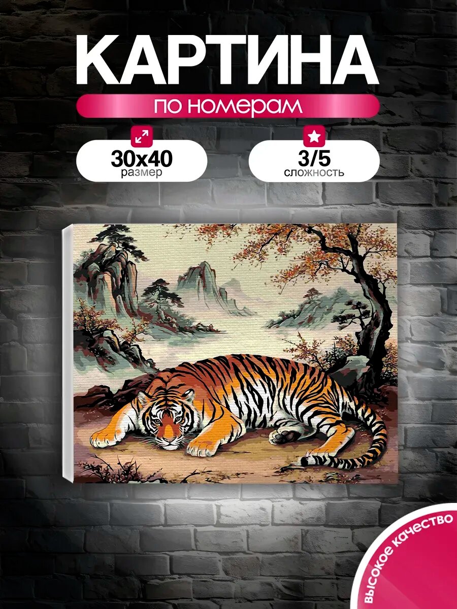 Картина по номерам 30x40 Тигр в горах