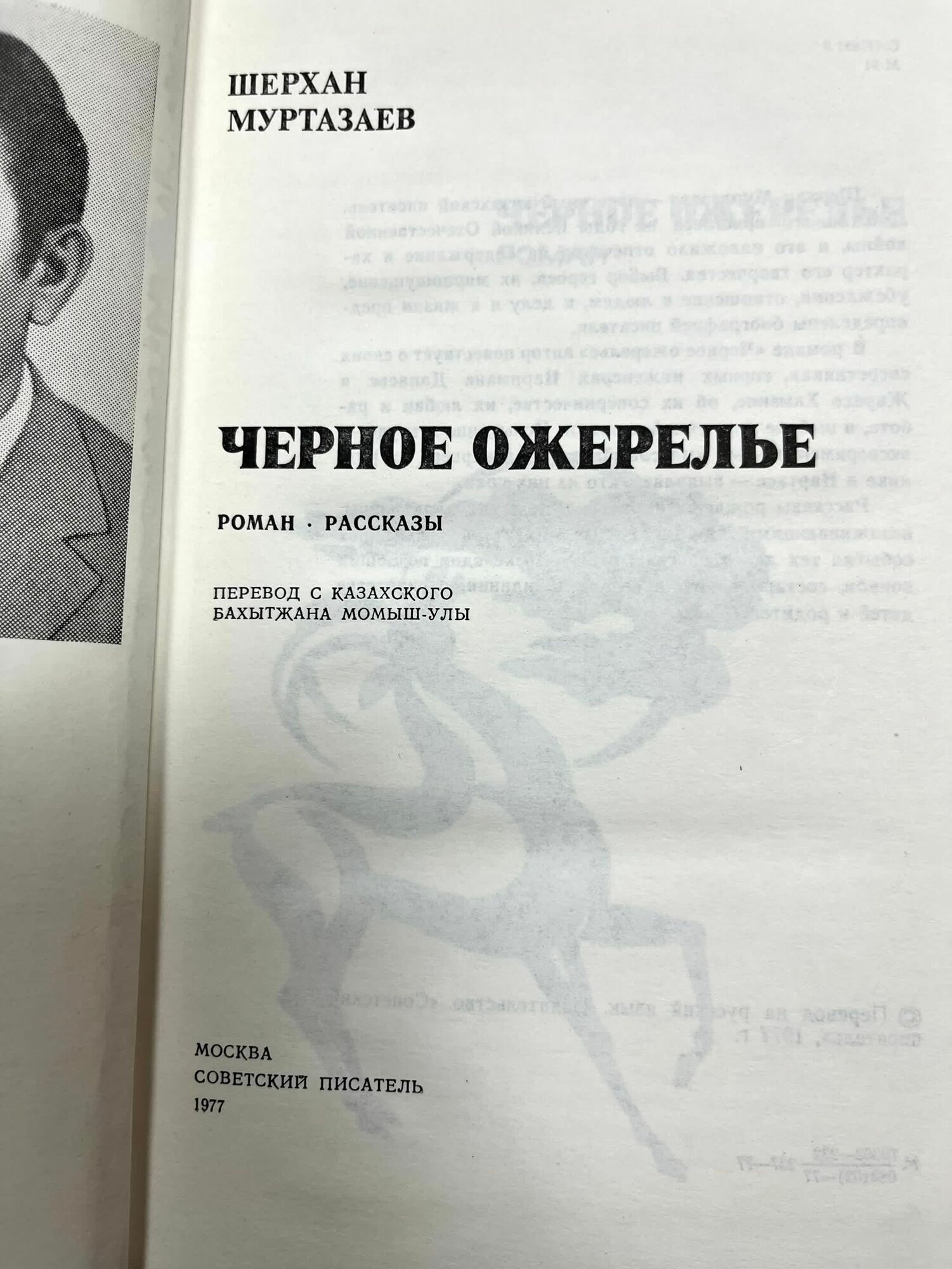 Черное ожерелье — фото 1
