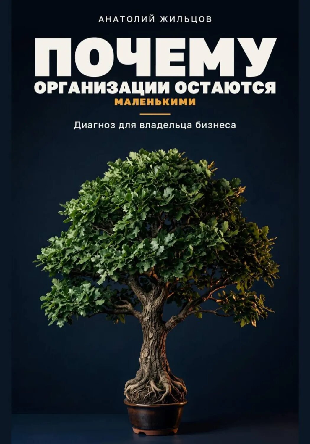 Почему организации остаются маленькими [Цифровая книга]