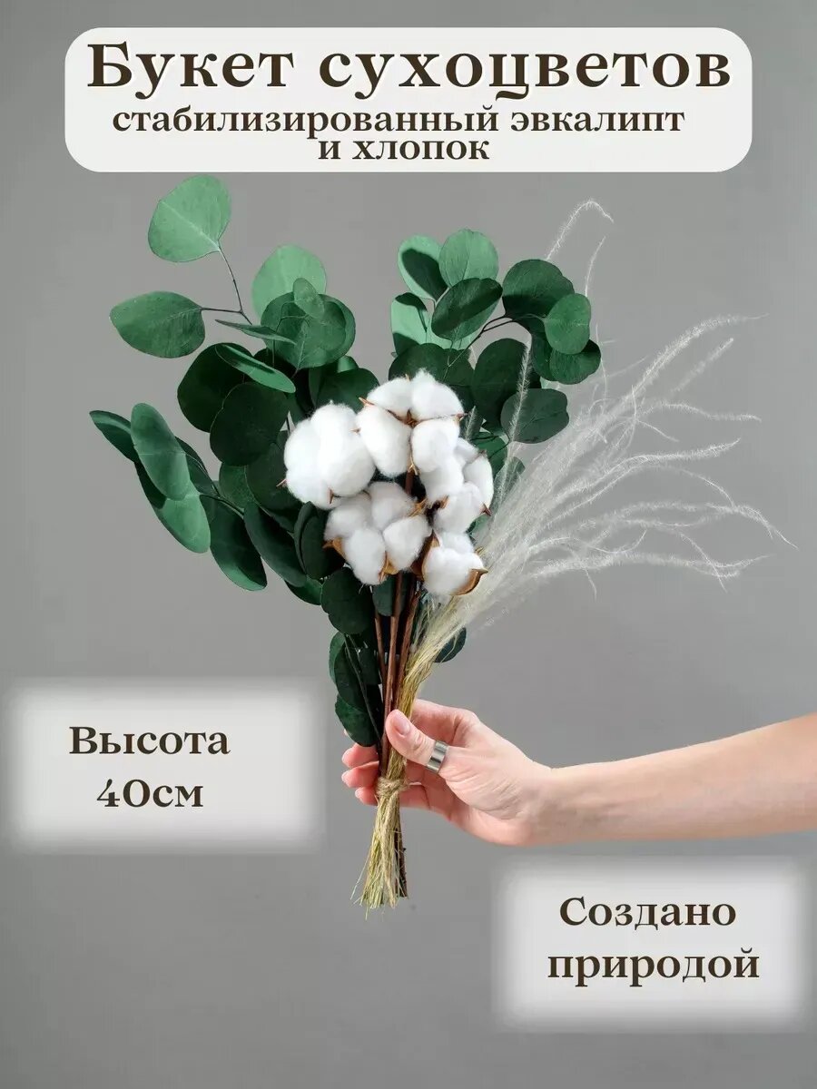 Сухоцветы для декора, букет с эвкалиптом и гипсофилой 44 см