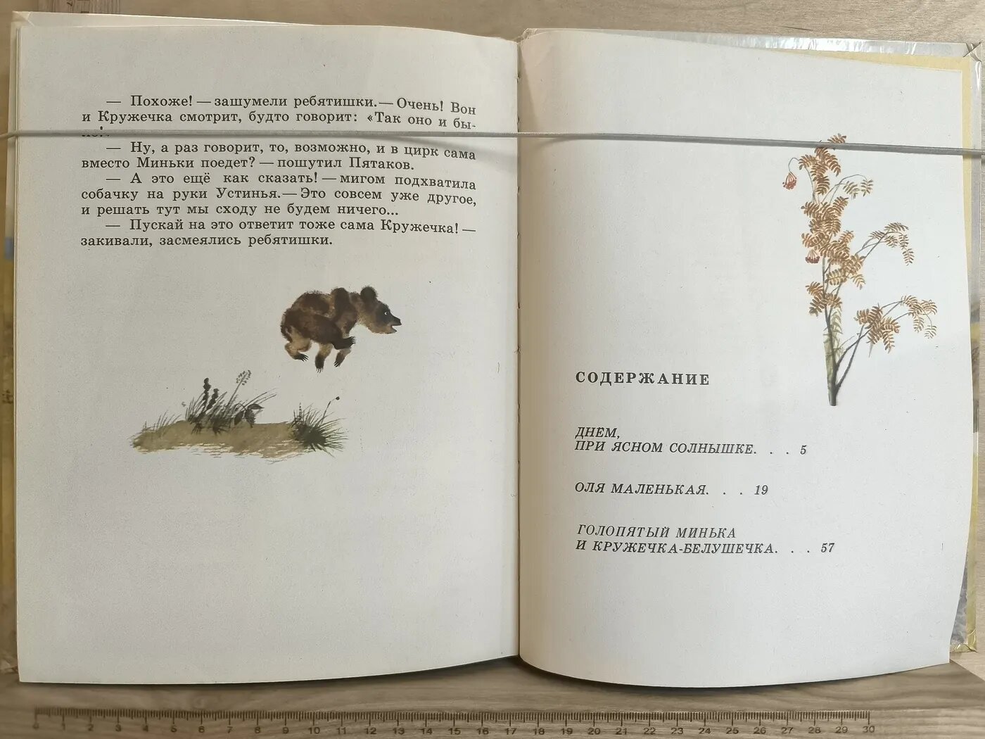 При ясном солнышке — фото 1