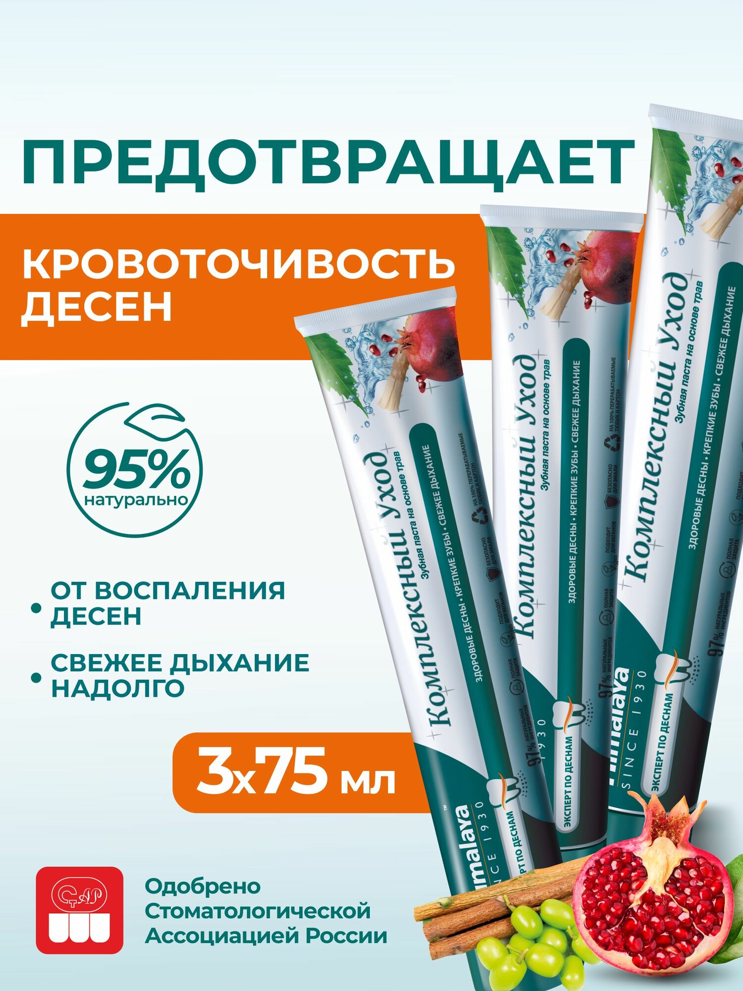 Himalaya Зубная паста с фтором "Комплексный уход" натуральная от кровоточивости, воспаления десен, налета и кариеса, ментол, набор 3 шт. по 75 мл