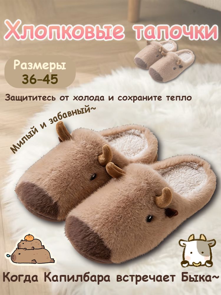 Сланцы