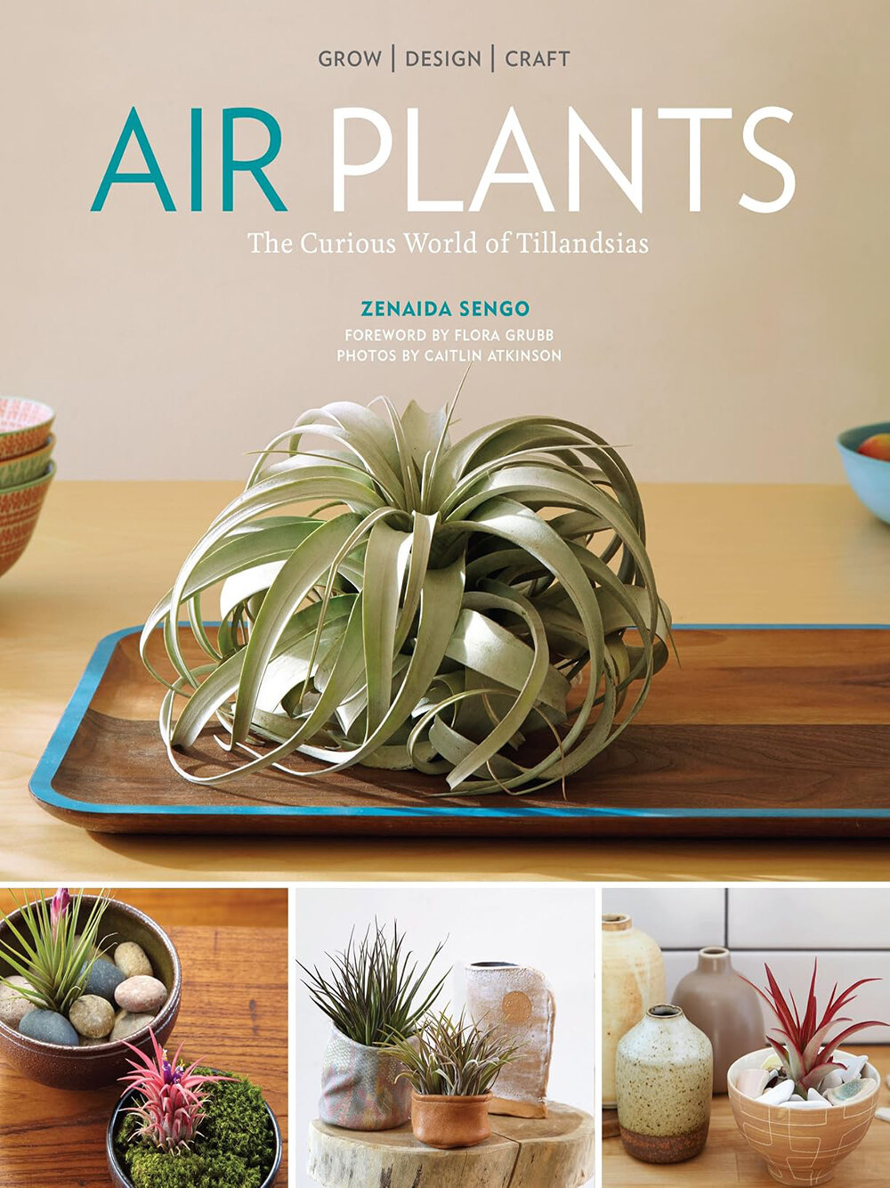 Air Plants: The Curious World of Tillandsias，печатная книга переиздания