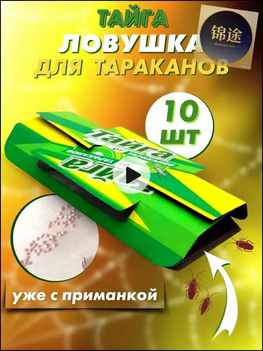 Тайга
