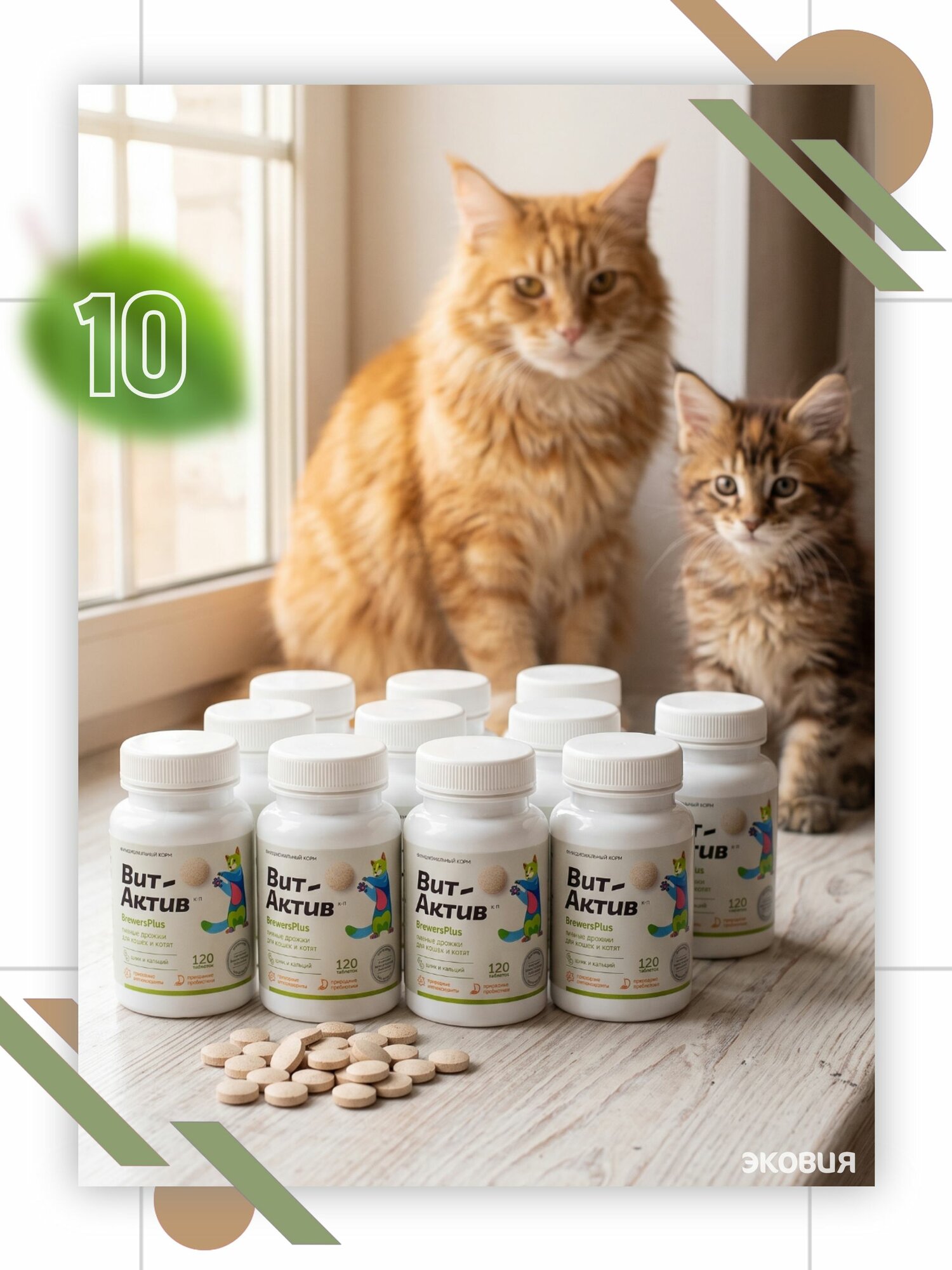 Вит-Актив BrewersPlus пивные дрожжи для кошек и котят. Комплекс с кальцием, хелатом цинка, антиоксидантами и пребиотиками для густой шерсти, яркого окраса, подшёрстка и иммунитета 10 уп по 120 шт