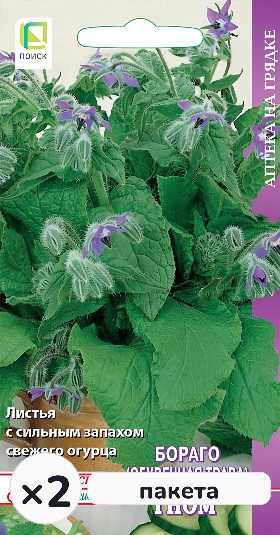 Семена бораго (Огуречная трава) Гном, 0,5 г, 2 пакета, поиск, однолетник, высота до 60 см, посев в грунт в апреле–мае