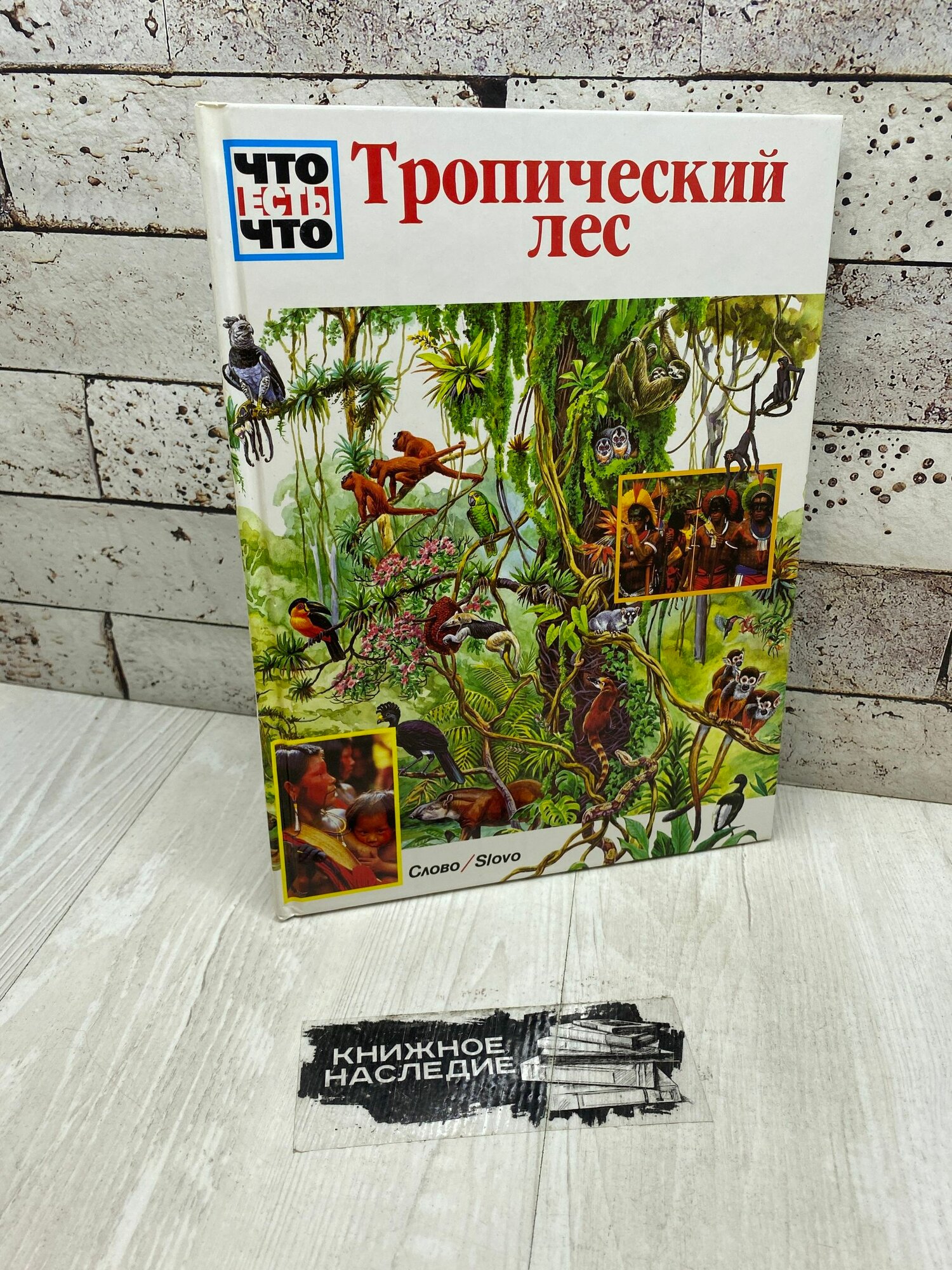 Мертини А. Что есть что Тропический лес