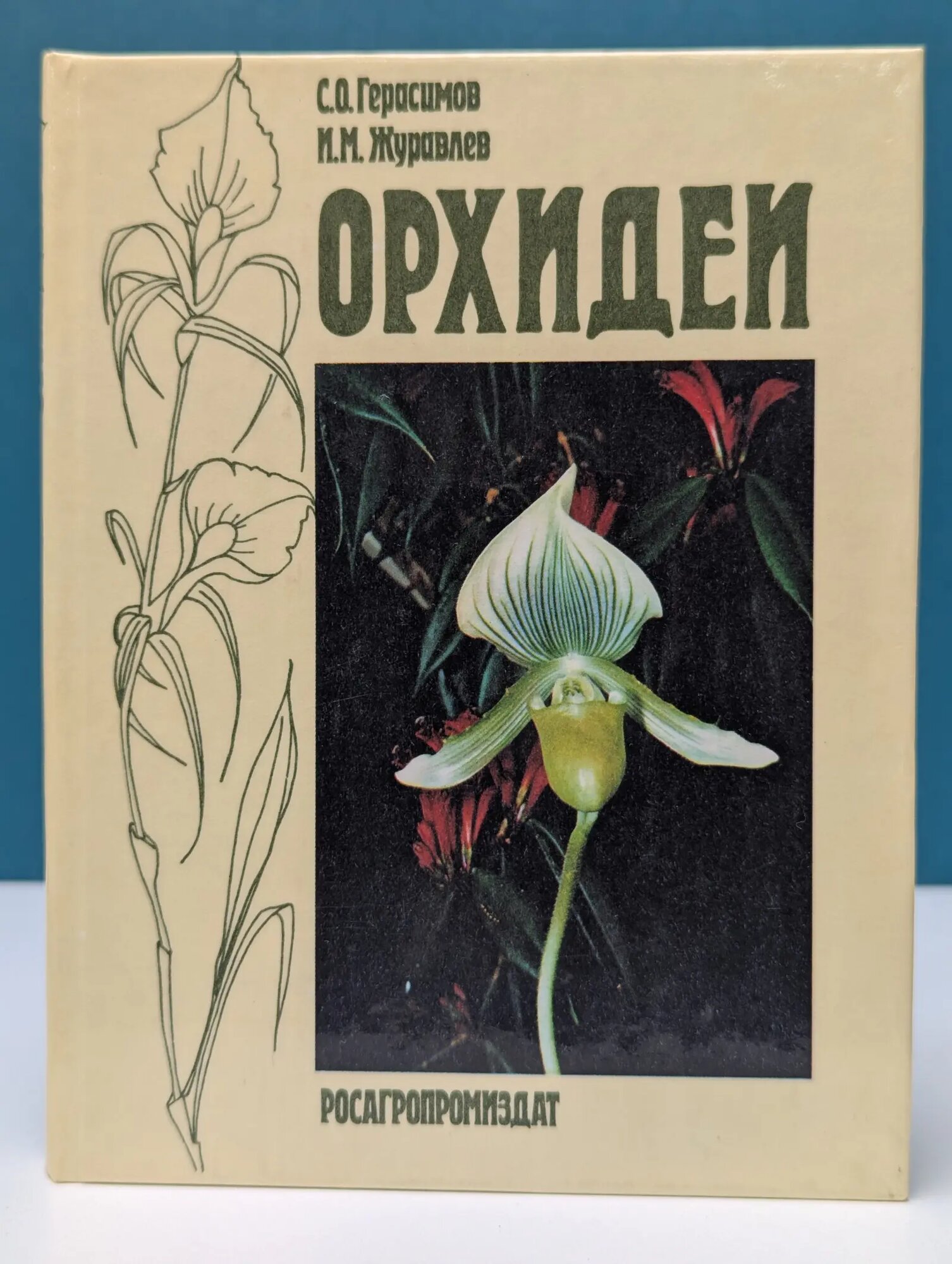 Орхидеи Герасимов Сергей Олегович, Журавлев Игорь Михайлович 1988