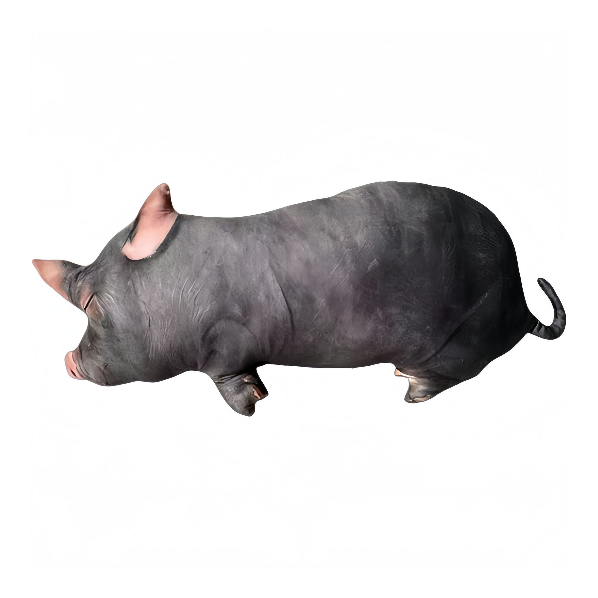 Подушки декоративные YUOU 130cm