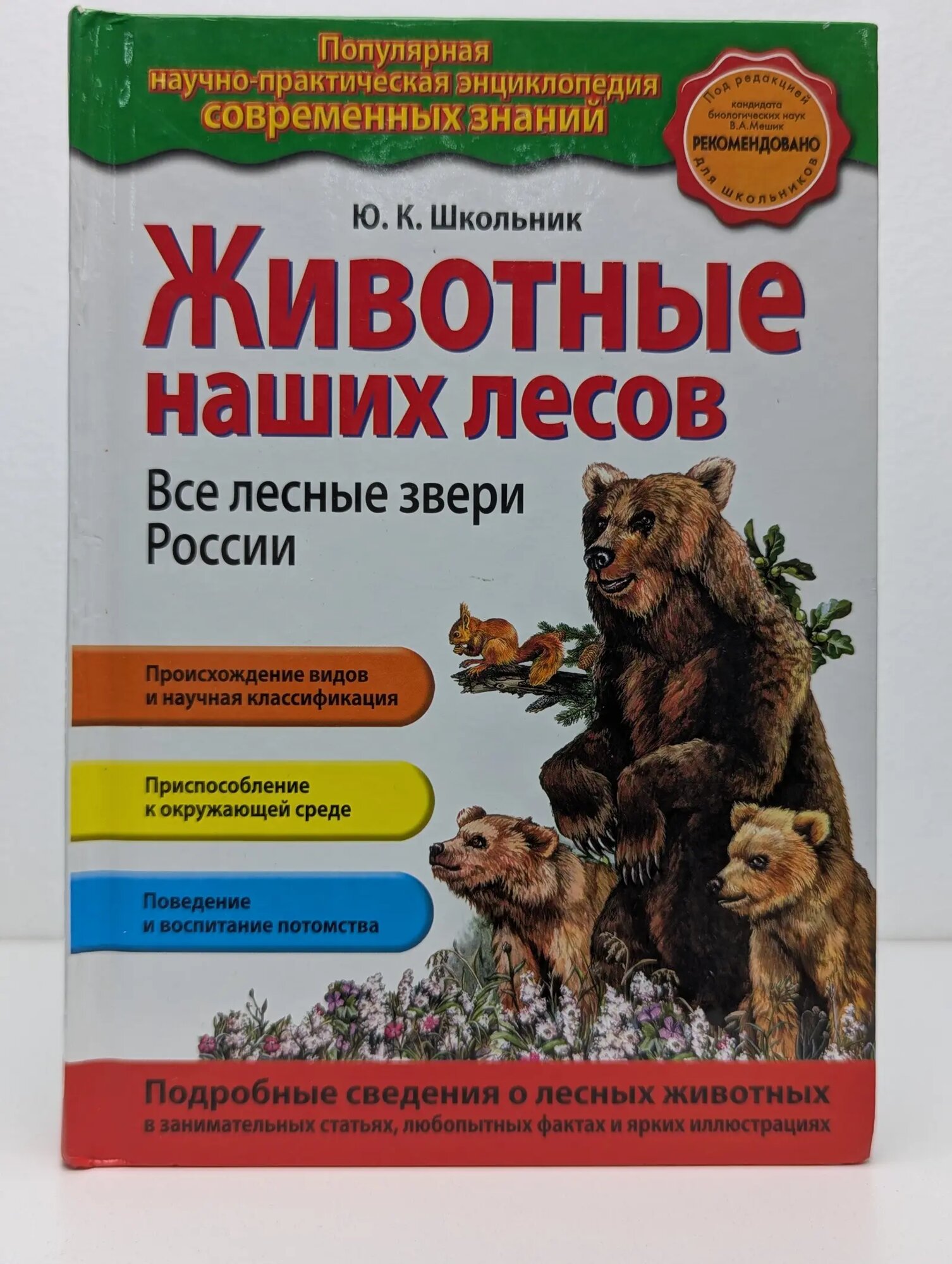 Популярная научно-практическая энциклопедия современных знаний. Животные наших лесов. Все лесные звери России Школьник Юлия Константиновна 2014