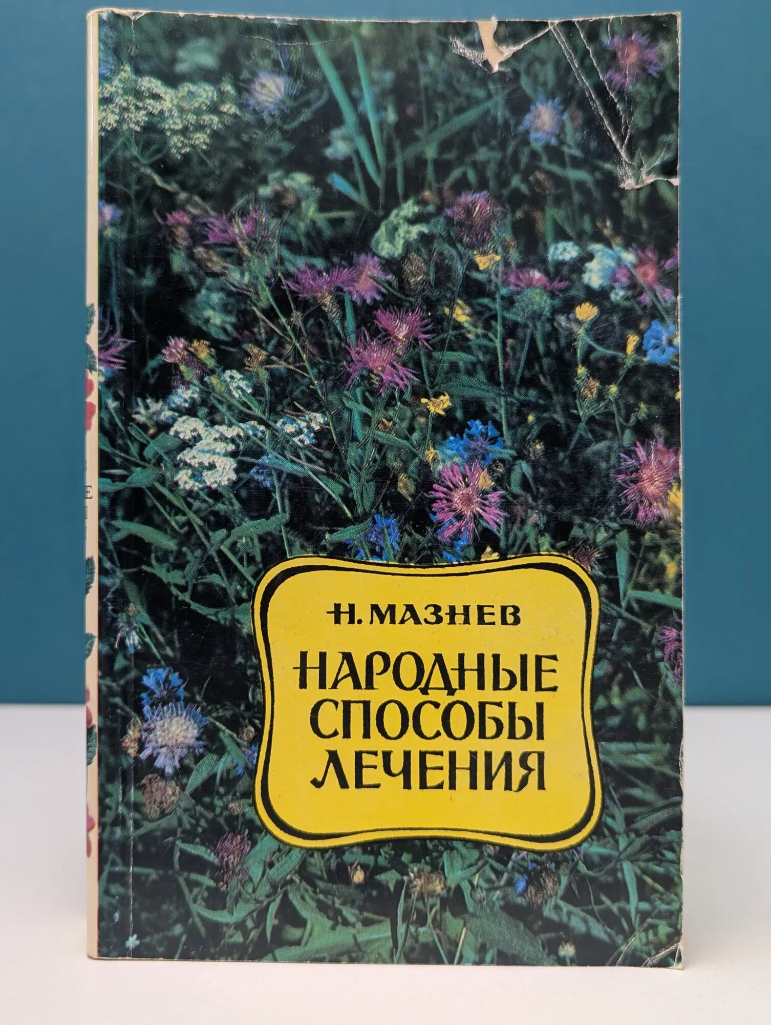 Народные способы лечения Мазнев Николай Иванович 1997
