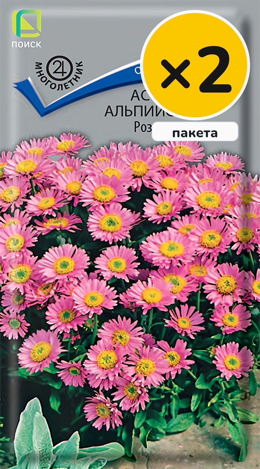 Семена астры альпийской Розовая, 0,04 г, 2 пакета, Поиск, многолетник, высота до 30 см, посев на рассаду в марте–апреле