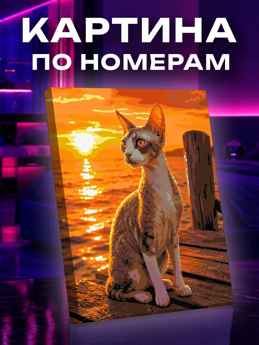 Картина по номерам Корниш-рекс у моря на закате