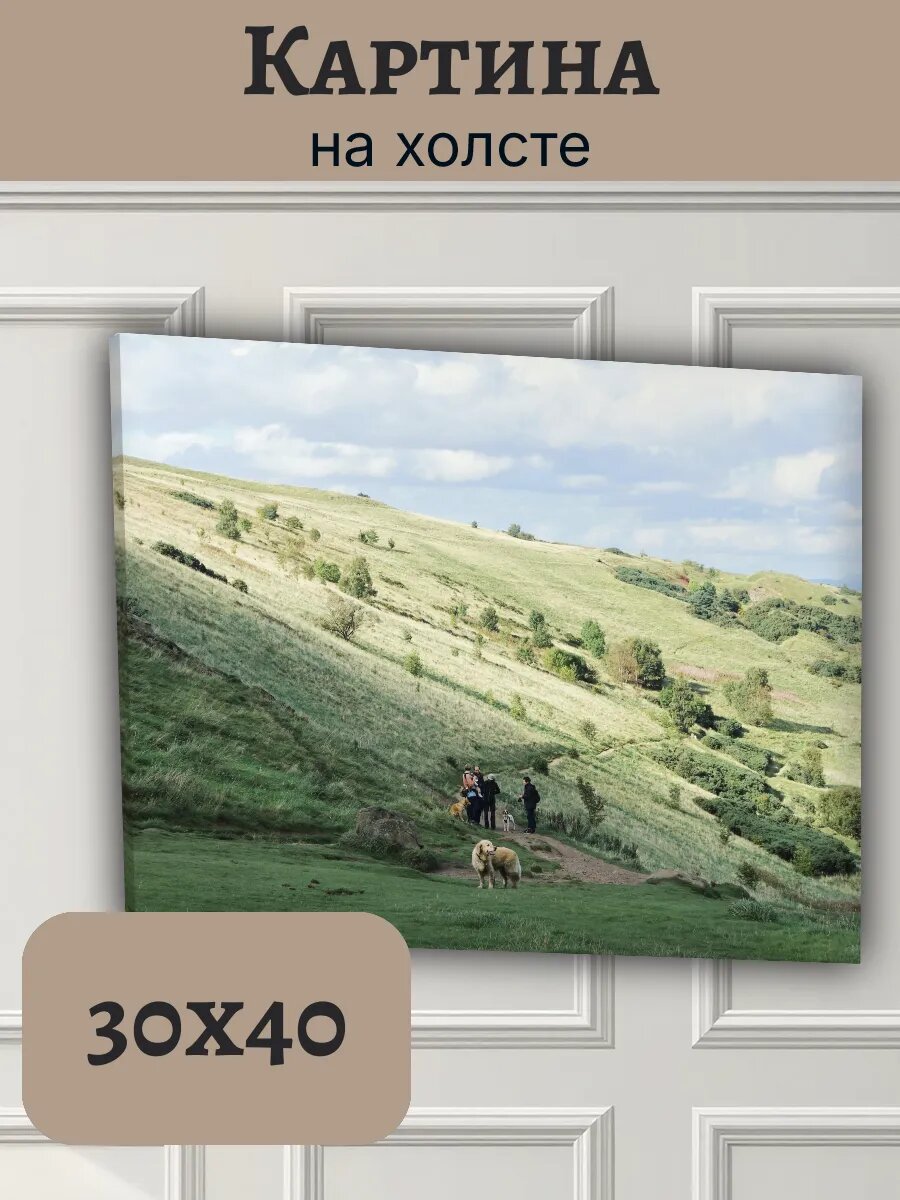 Картина Шотландия Scotland 30x40 пейзаж с туристами