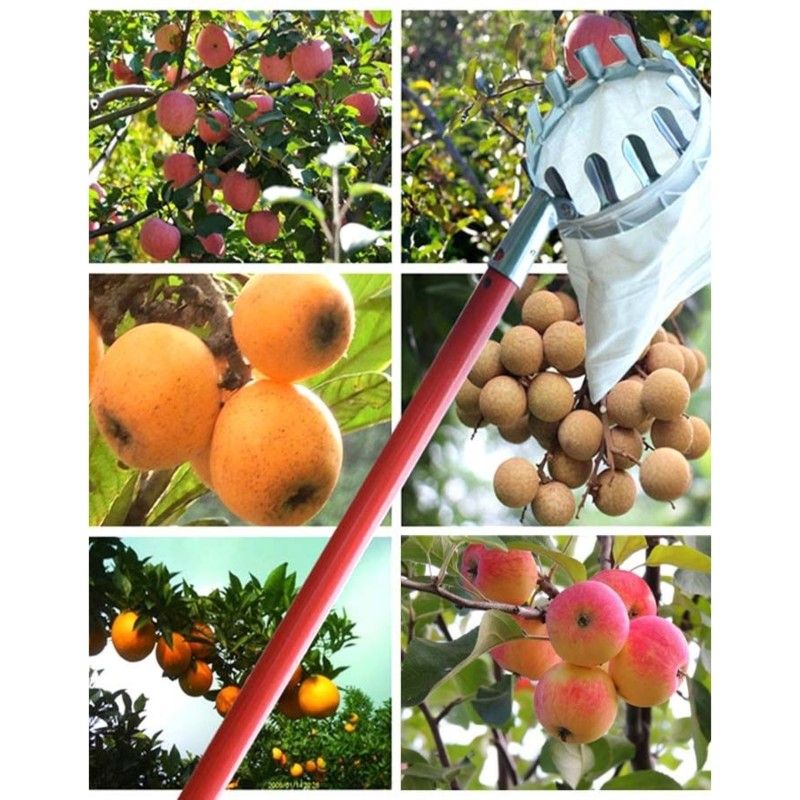 Плодосборник 20 см x 16 см, Артикул: 5631508276, Дом и сад → Дача и сад → Садовый инструмент → Плодосборники