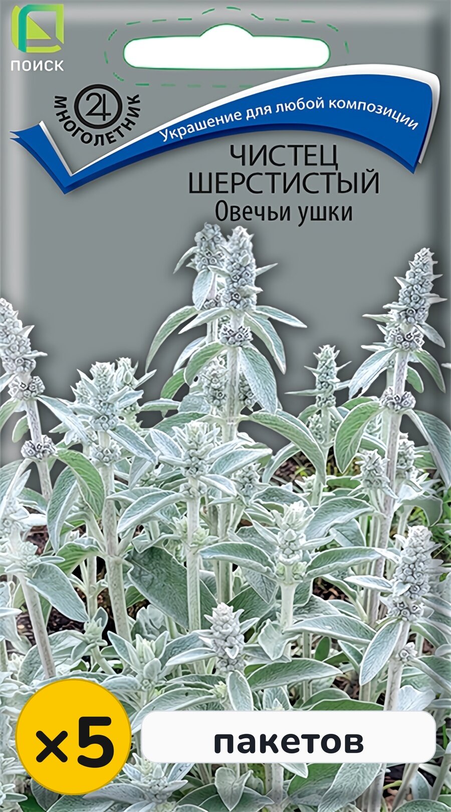 Семена чистца (Стахис) шерстистый Овечьи ушки, 0,1 г, 5 пакетов, поиск, многолетник, высота до 45 см