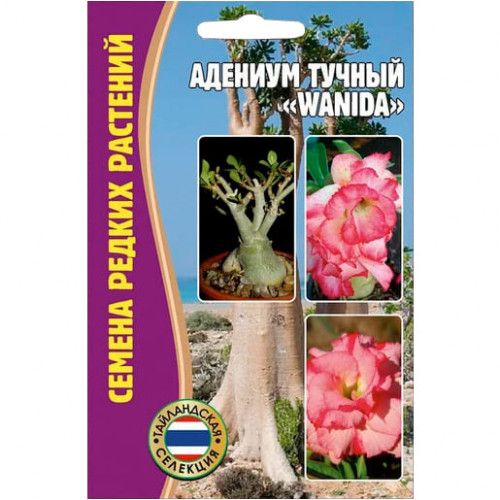 Адениум тучный Wanida 3 семени х 1 упаковка/ Семена Редких растений