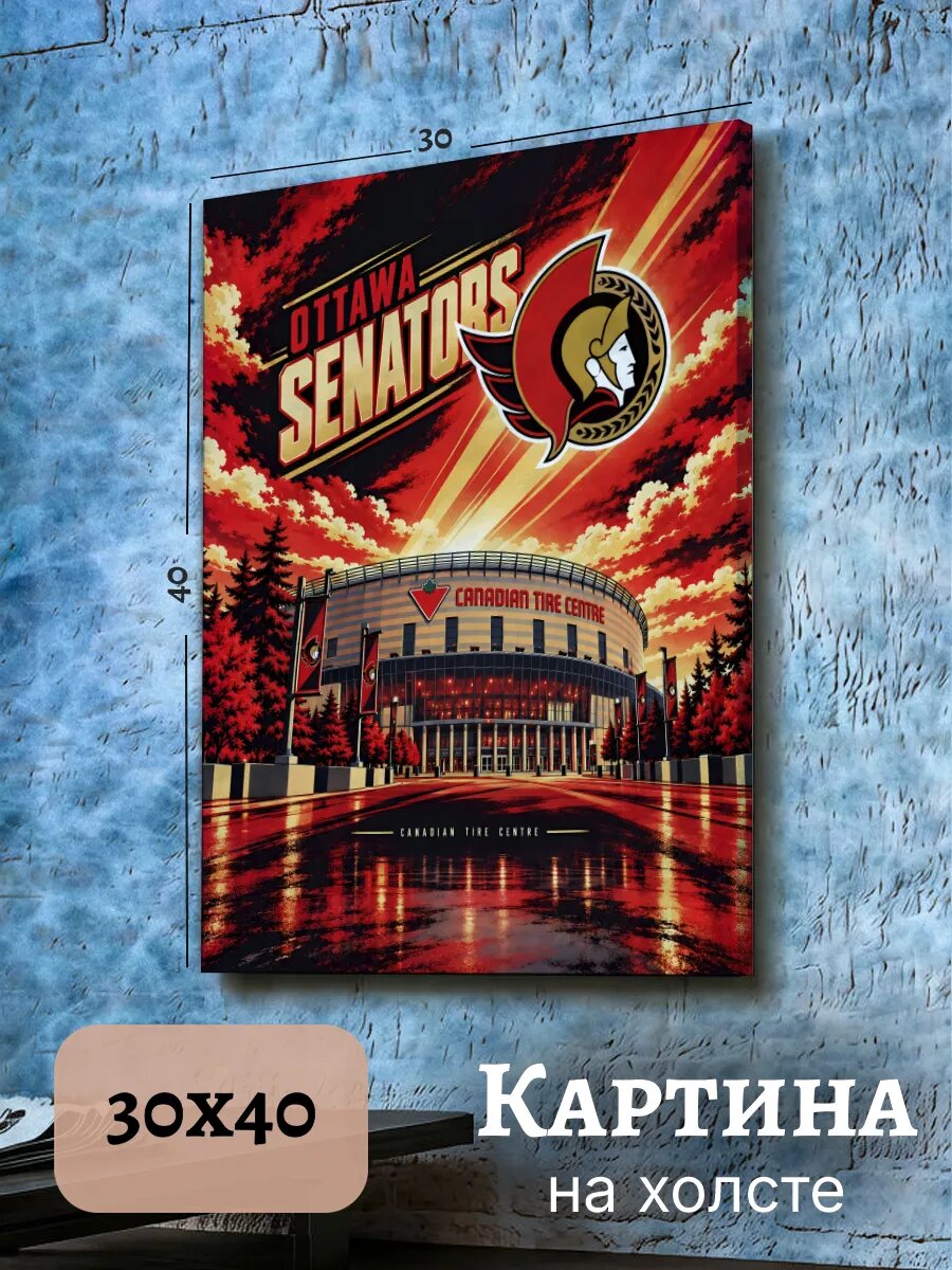 Картина Постер Хоккей НХЛ NHL 40x30 ottawa Senators Оттава