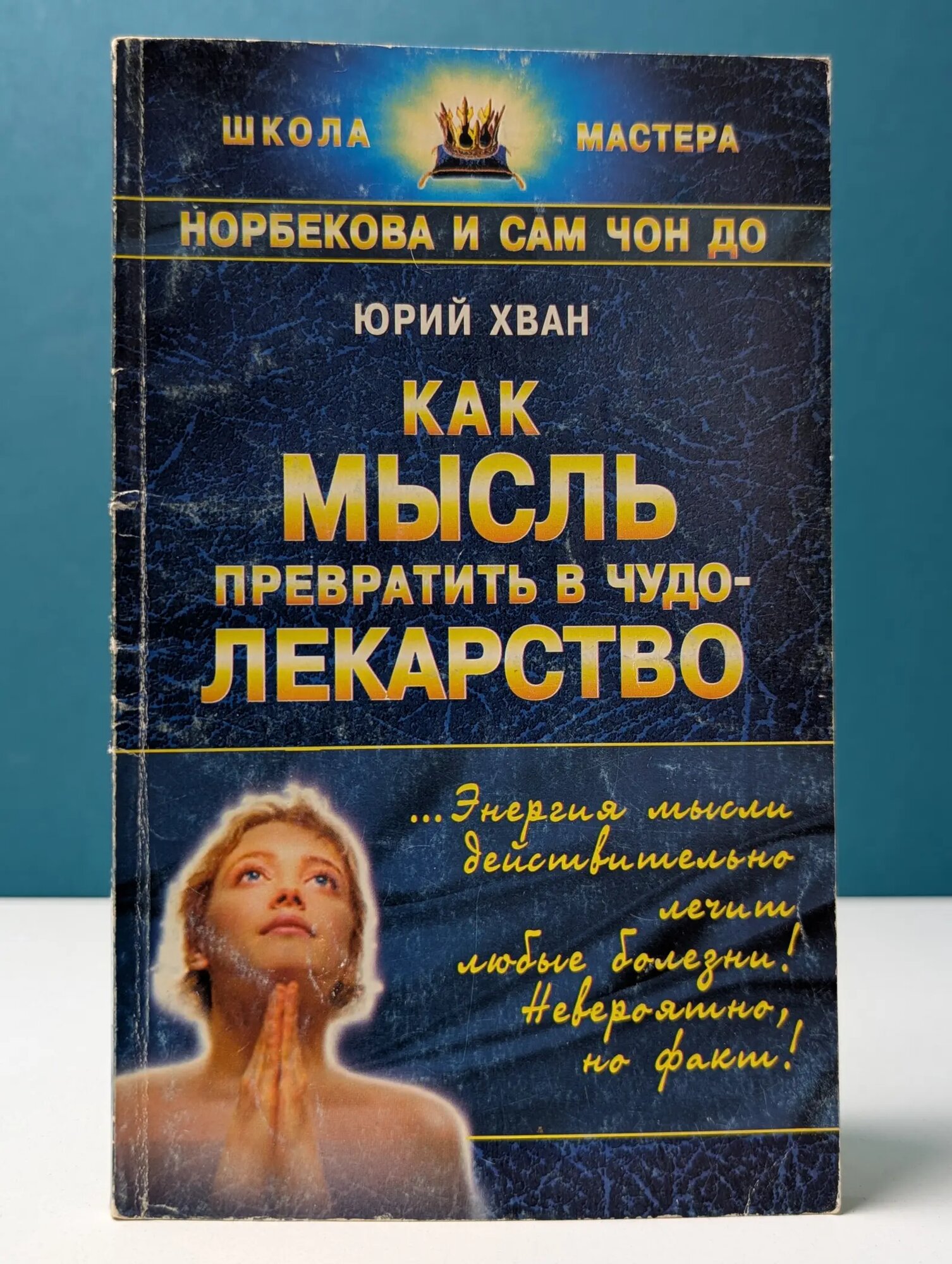 Школа мастера. Как мысль превратить в чудо-лекарство Хван Юрий Енович 2002