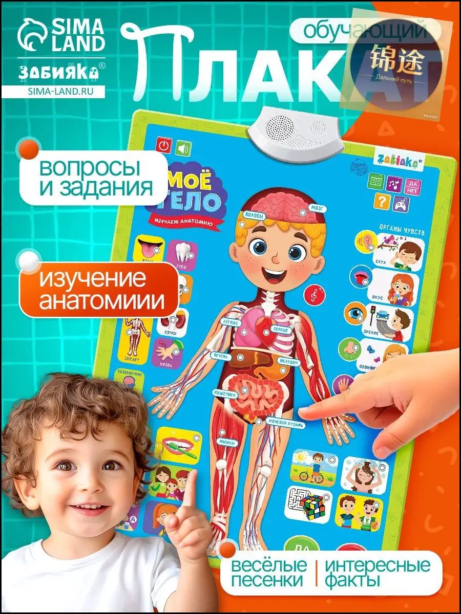 Обучающий интерактивный плакат "Тело человека" / Плакат говорящий для малышей / Анатомия человека для детей
