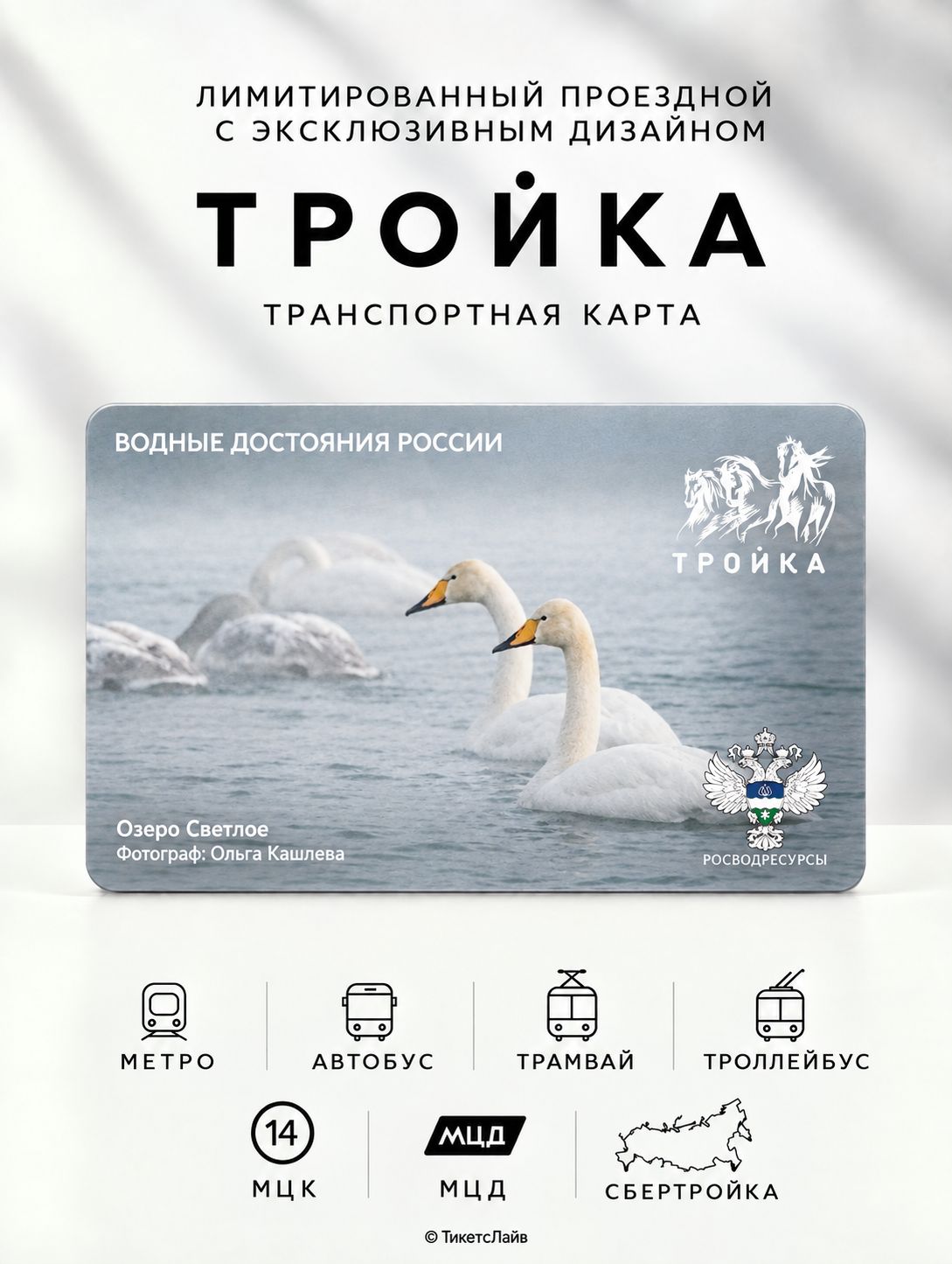 Карта Тройка - Озеро Светлое. Водные ресурсы России. Лебеди