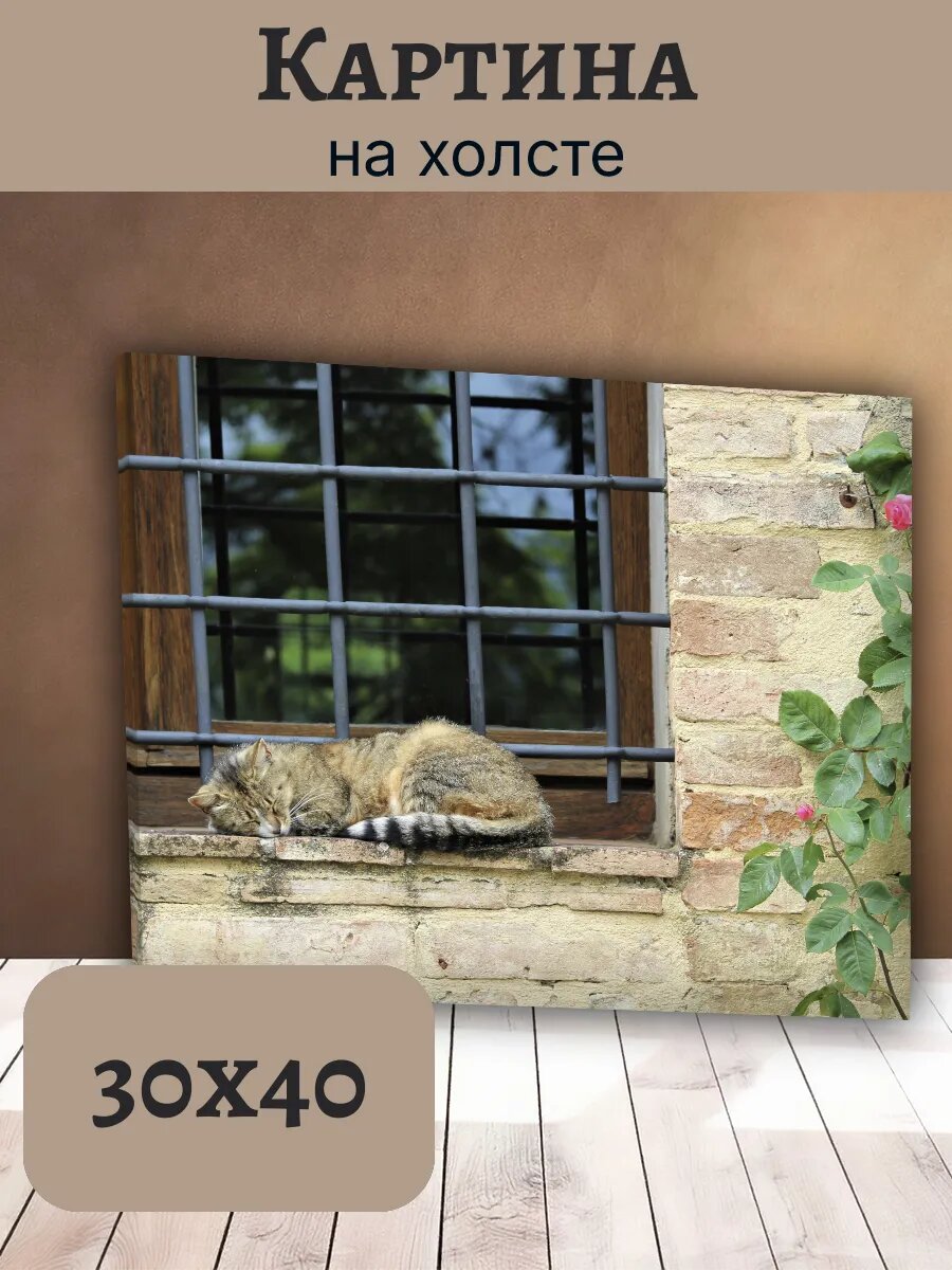 Картина Кот Кошка Cat 30x40 спящая на подоконнике