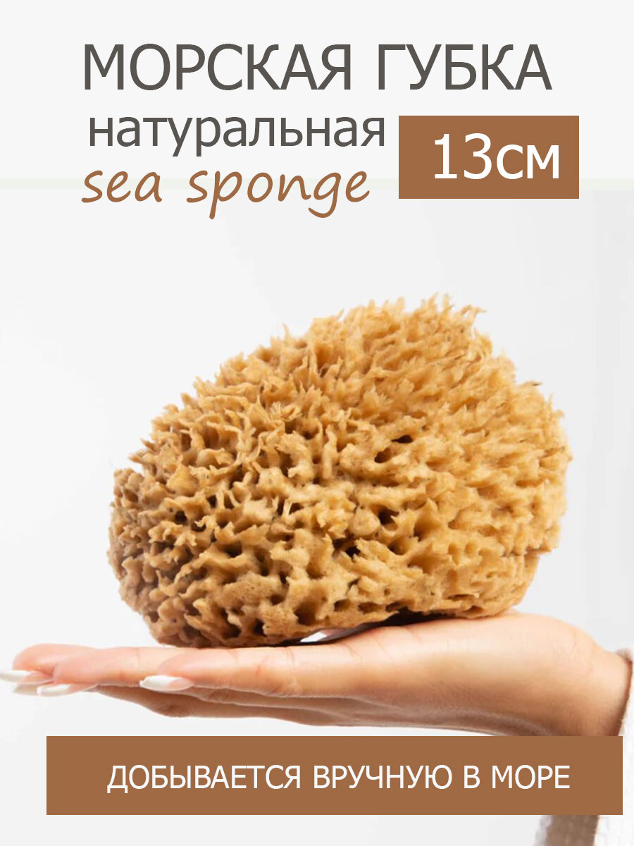 Губка морская натуральная Milos, HONEYCOMB, 13-14 см Греция (о. Милос)