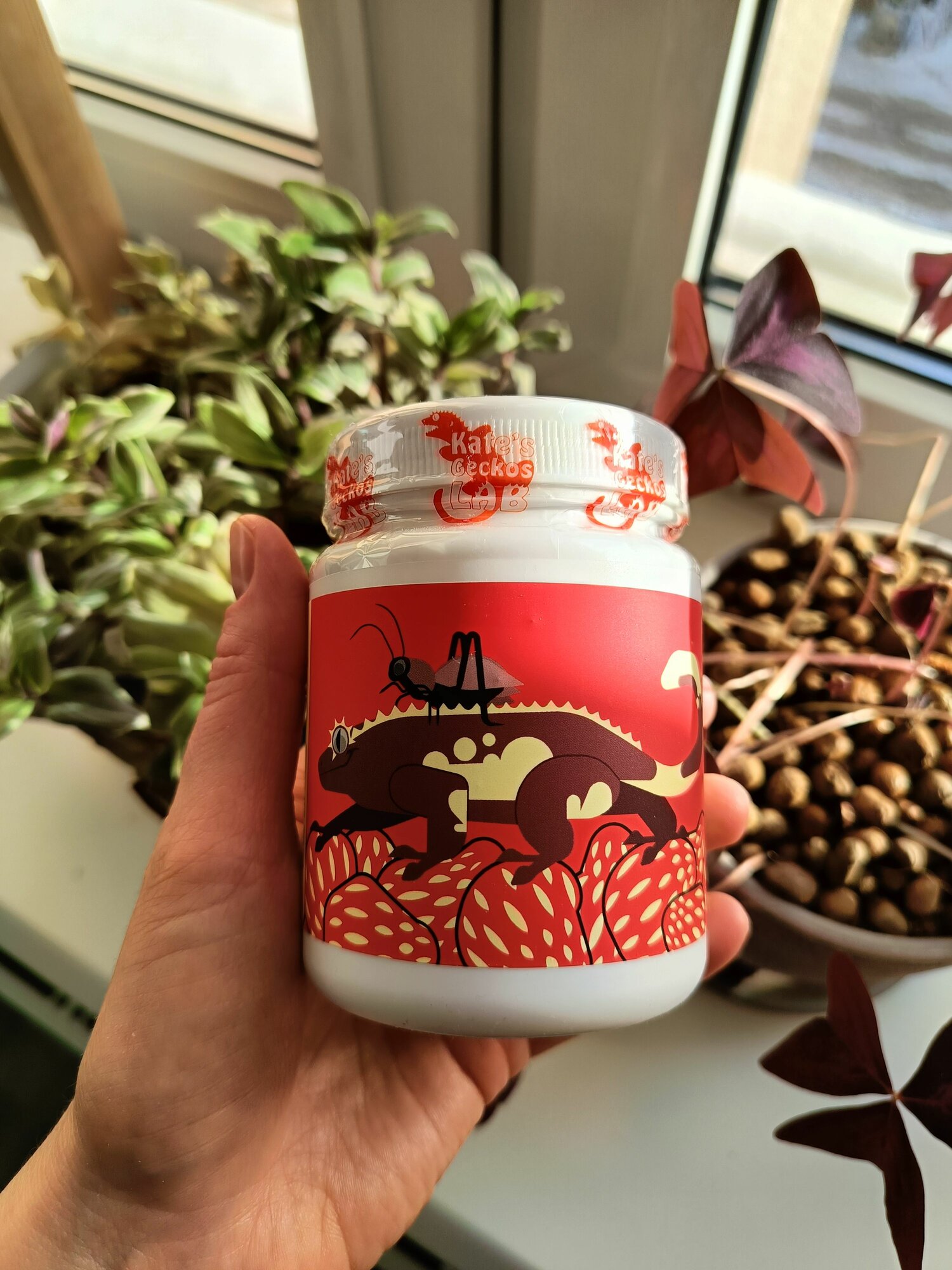 Kates Geckos Lab Strawberry and Crickets gecko diet, Полнорационная кормовая смесь для рептилий со вкусом клубники и сверчками, 100г
