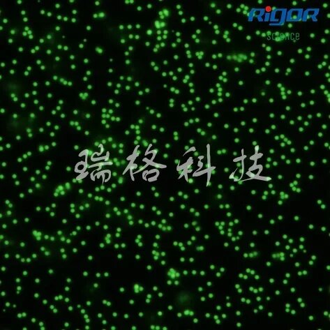 Зеленые флуоресцентные микросферы, 100nm