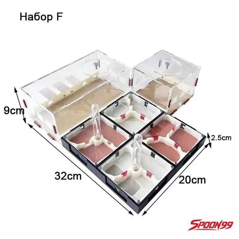 Муравейник Square Flat Nest F, эксклюзивный комплект Deluxe, акрил и гипс