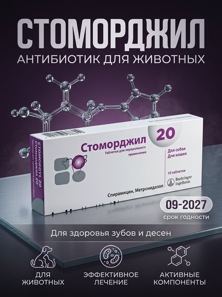 Стоморджил 20, таблетки для собак и кошек, 10 таблеток — антибиотик для лечения заболеваний полости рта