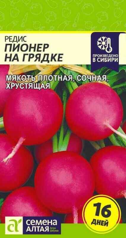 Семена Редис Пионер на Грядке (16 дней) /Семена Алтая/цп 1 гр. редис ранний 1г скороспелый редис