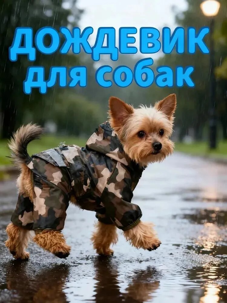 Дождевик для собак мелких пород