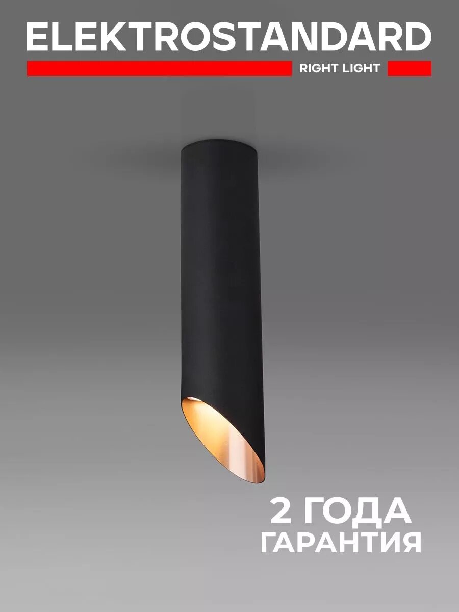 Спот / Потолочный накладной светильник Elektrostandard DLN115 GU10 черный / золото