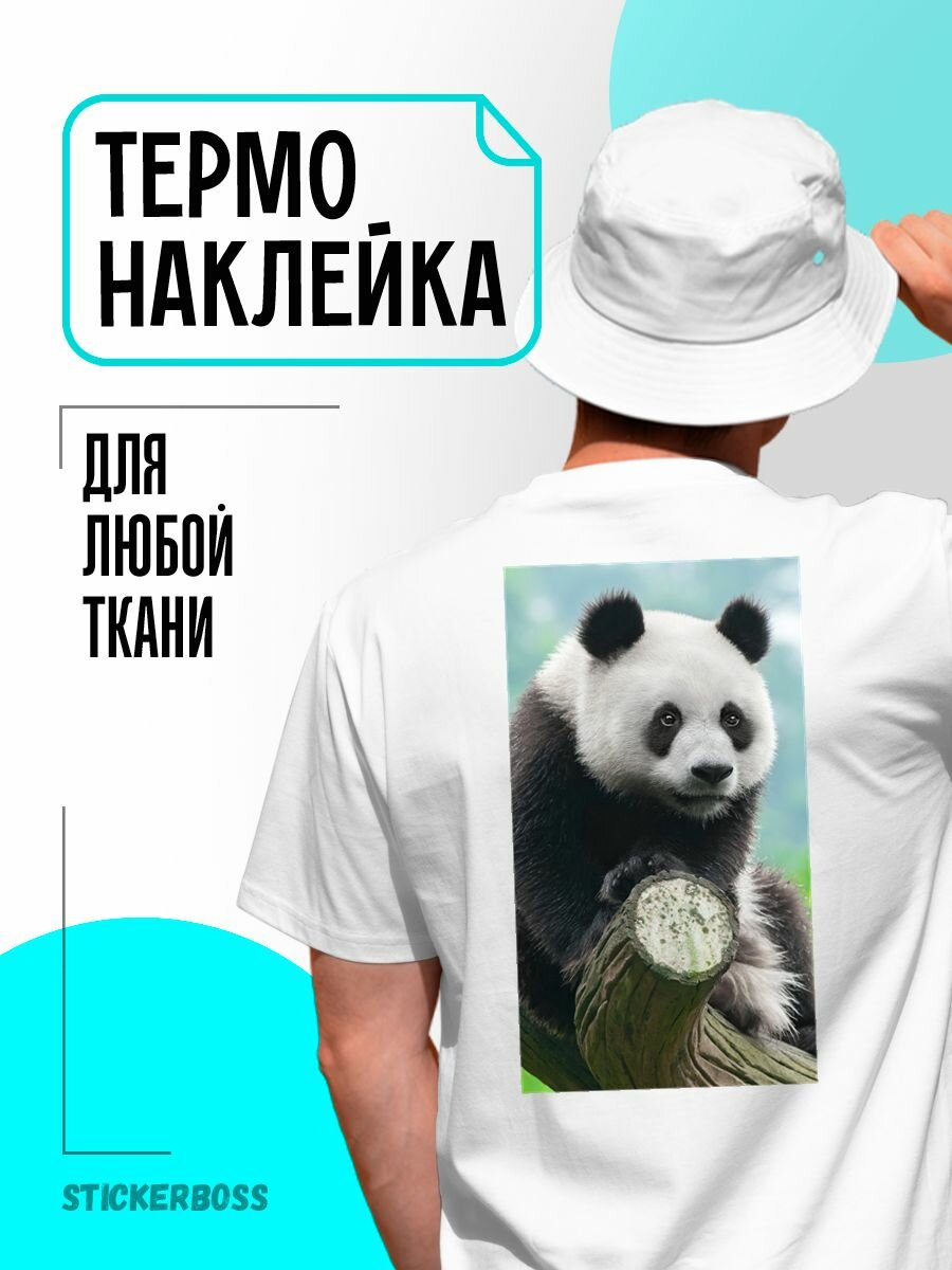 Термонаклейка термотрансфер на одежду панда — фото 1