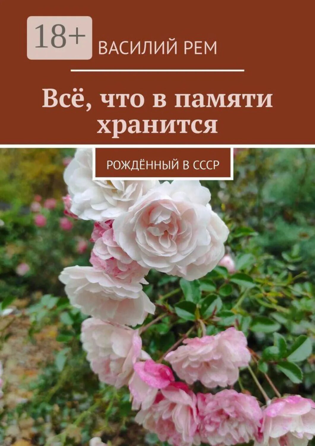 Всё, что в памяти хранится. Рождённый в СССР [Цифровая книга]