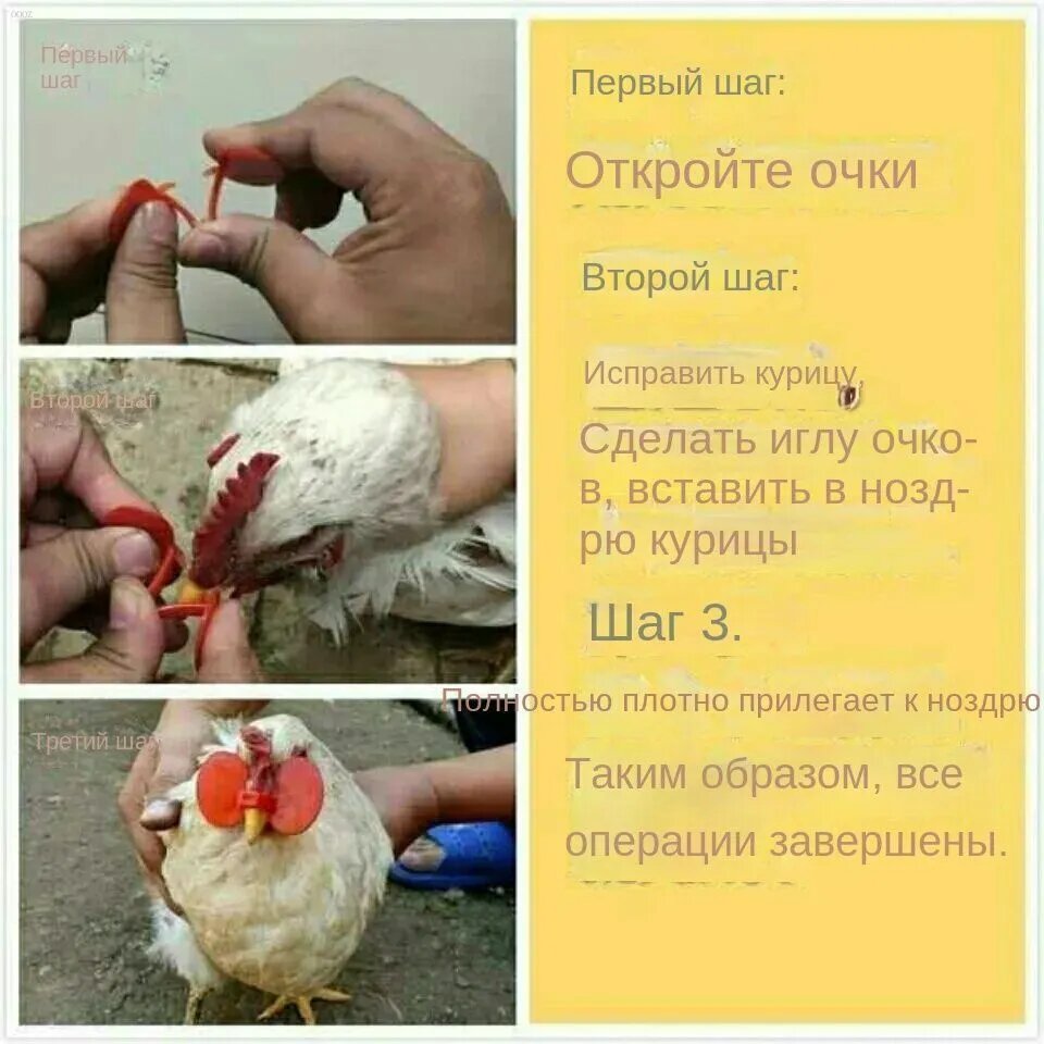 Очки от расклева для птиц, 50 шт, красные, 63*38 мм — фото 1
