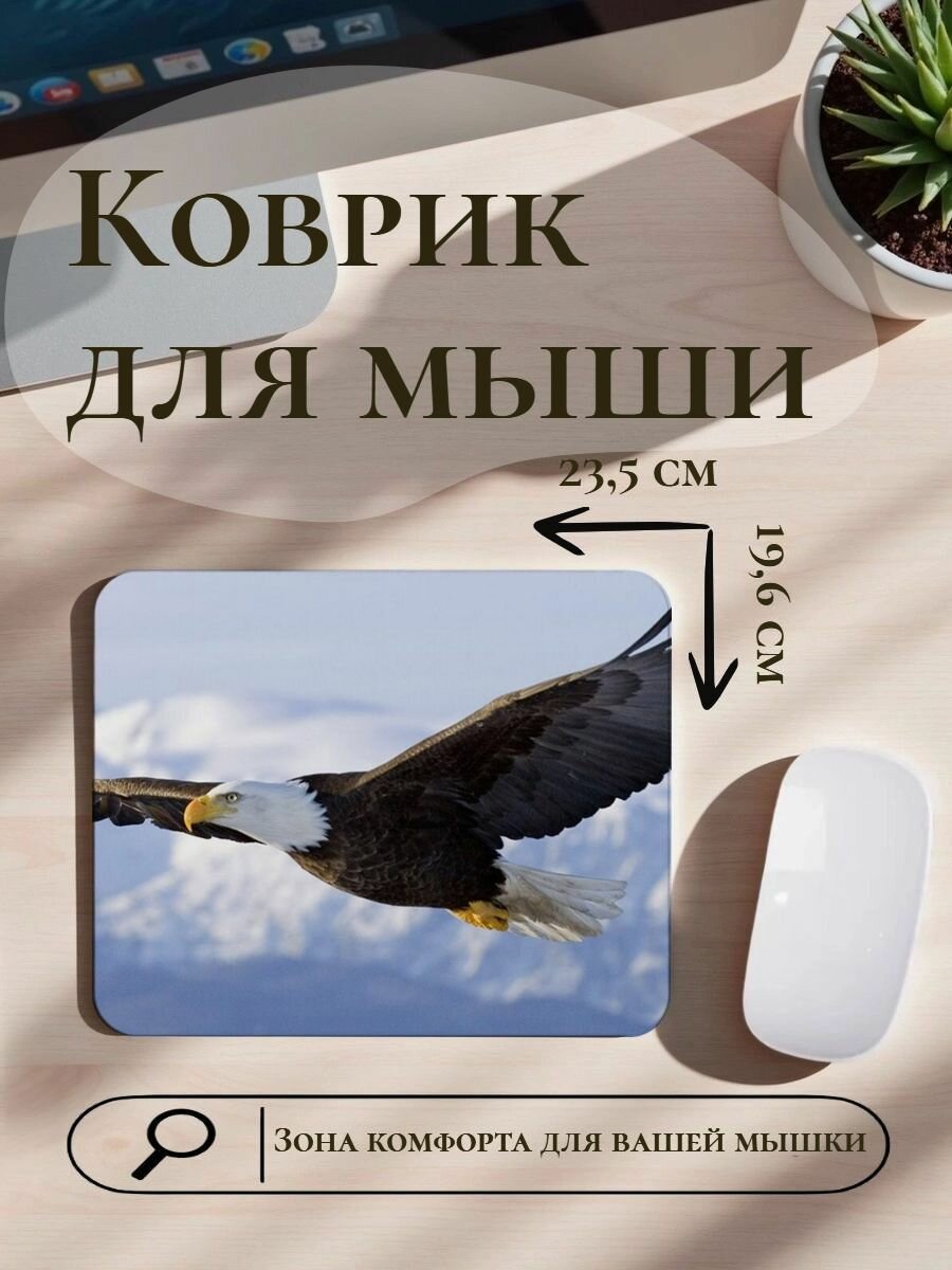 Коврик для мыши белоголовый орлан