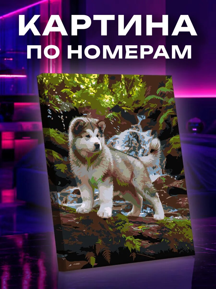 Картина по номерам Маламут у лесного водопада