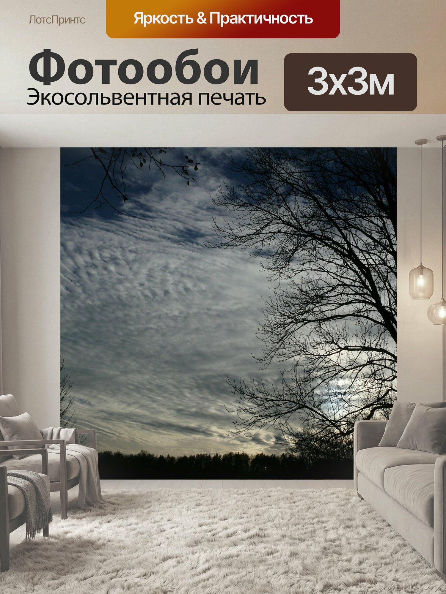 Фотообои "Небеса, облака, образование облаков" 300x300 см. экосольвентная печать