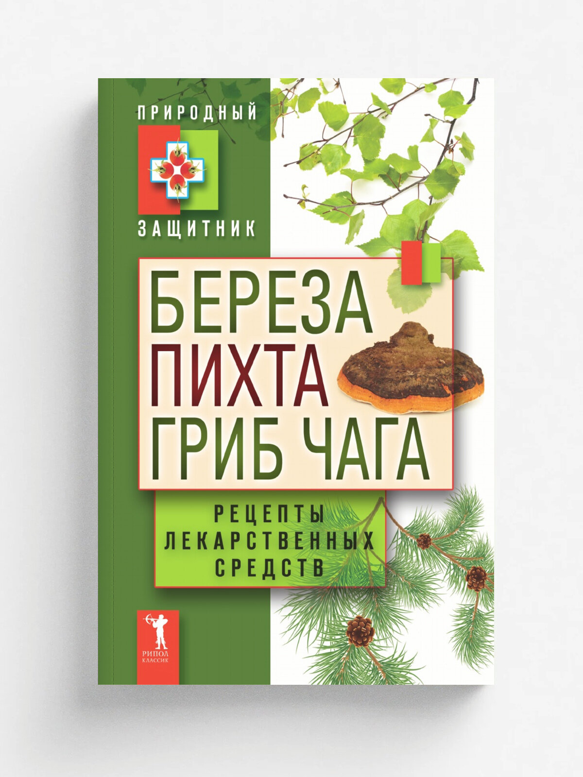 Береза, пихта и гриб чага. Рецепты лекарственных средств