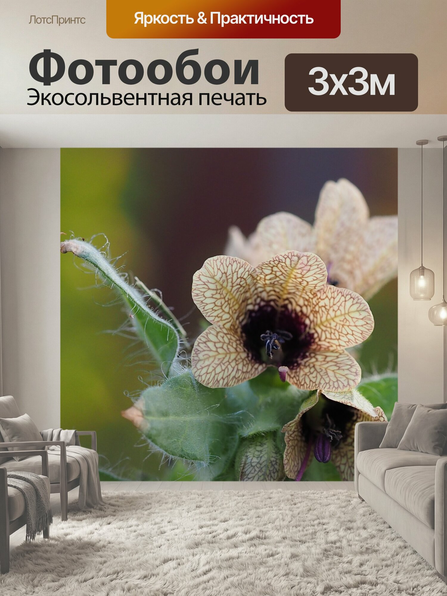 Фотообои "Белена, сорняк, цвести" 300x300 см. экосольвентная печать
